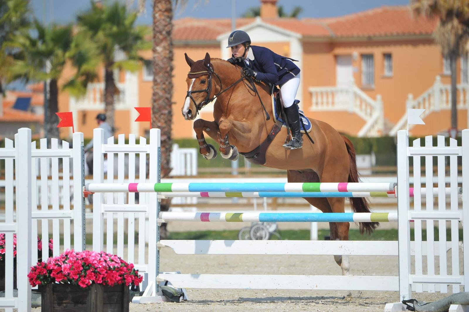 Home - Equiform Nutrition