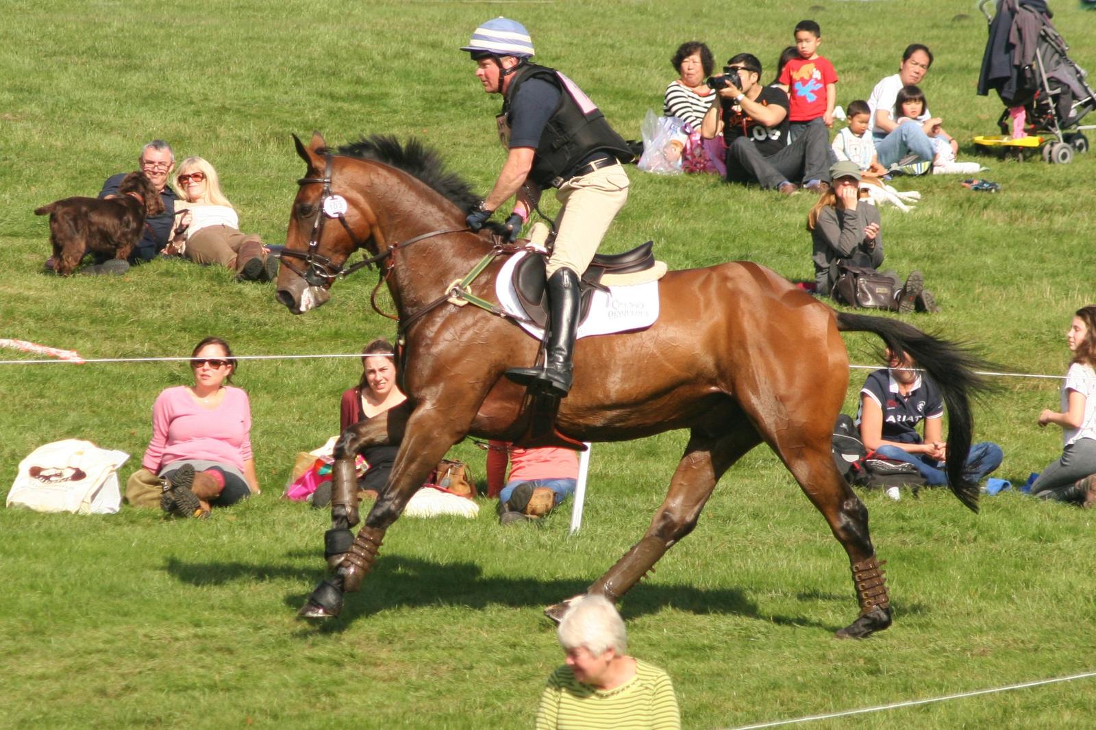 Marcus Reid - Equiform Nutrition